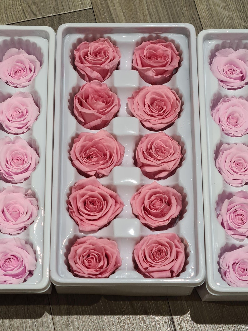 10 Pastel Pink Roses per Box REAL Always FRESH Roses - Etsy