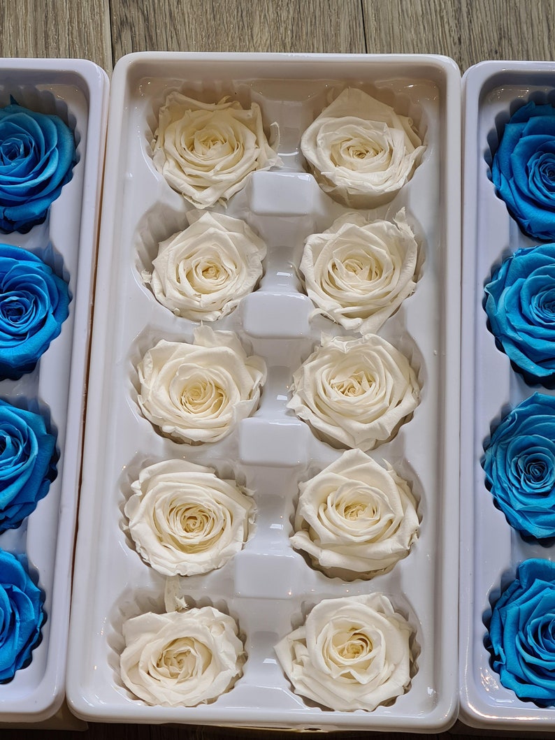 10 Pastel Pink Roses per Box REAL Always FRESH Roses - Etsy