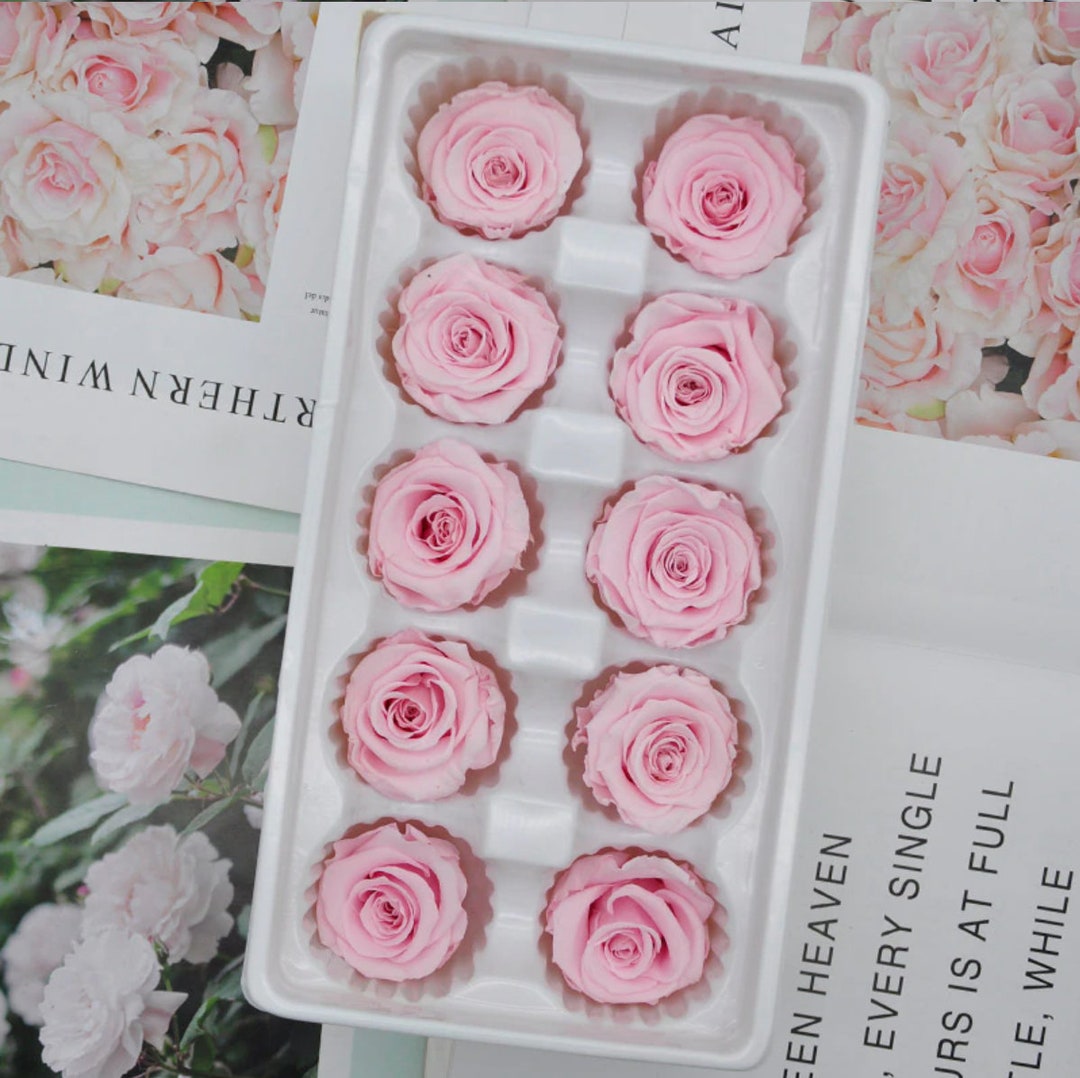 10 Pastel Pink Roses per Box REAL Always FRESH Roses - Etsy