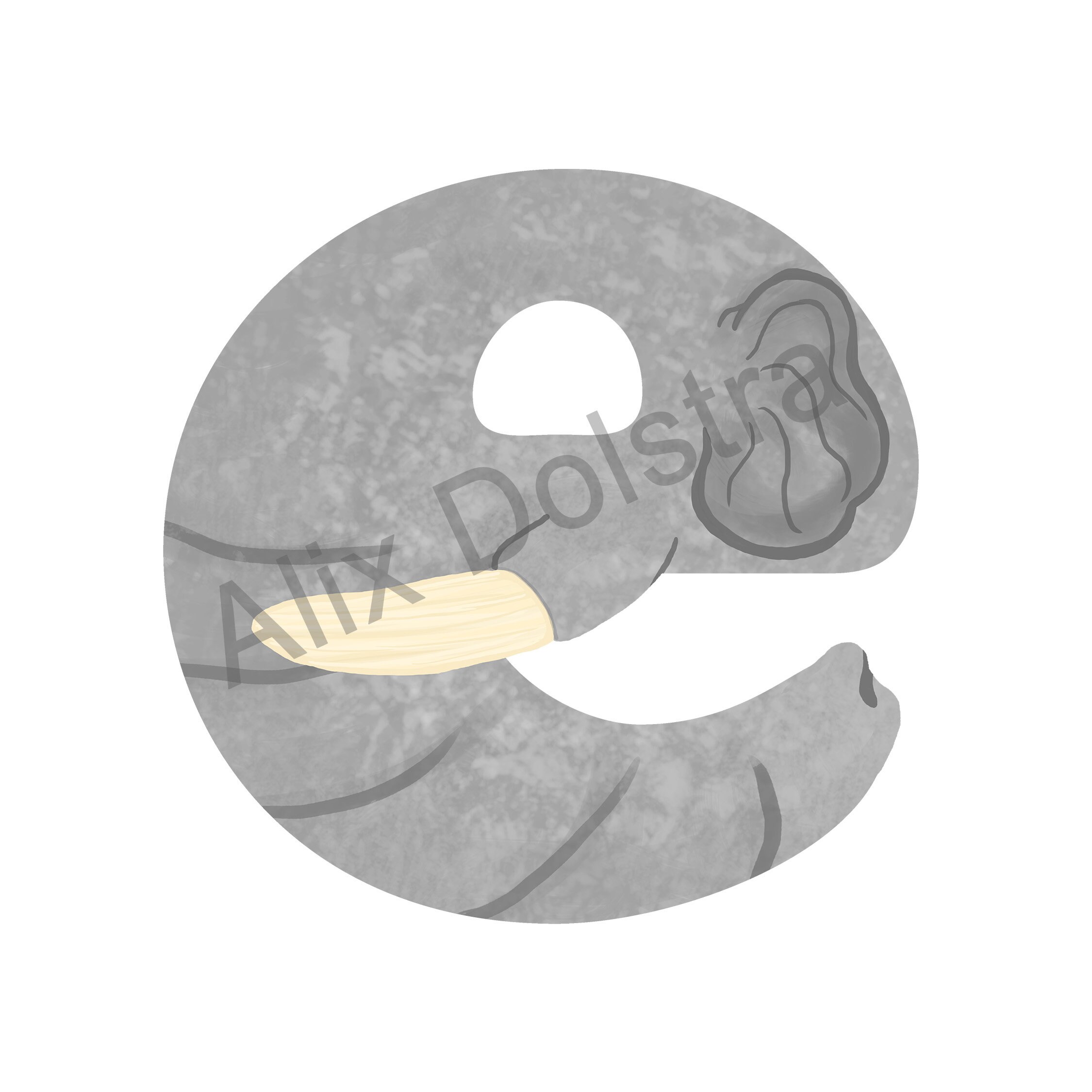 E is for Elephant, PNG Clip Art Set, Alphabet Letters, Learning for ...