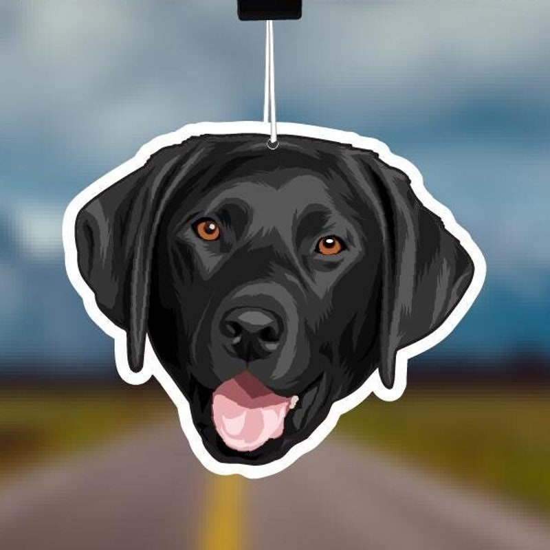 Black Labrador - Etsy