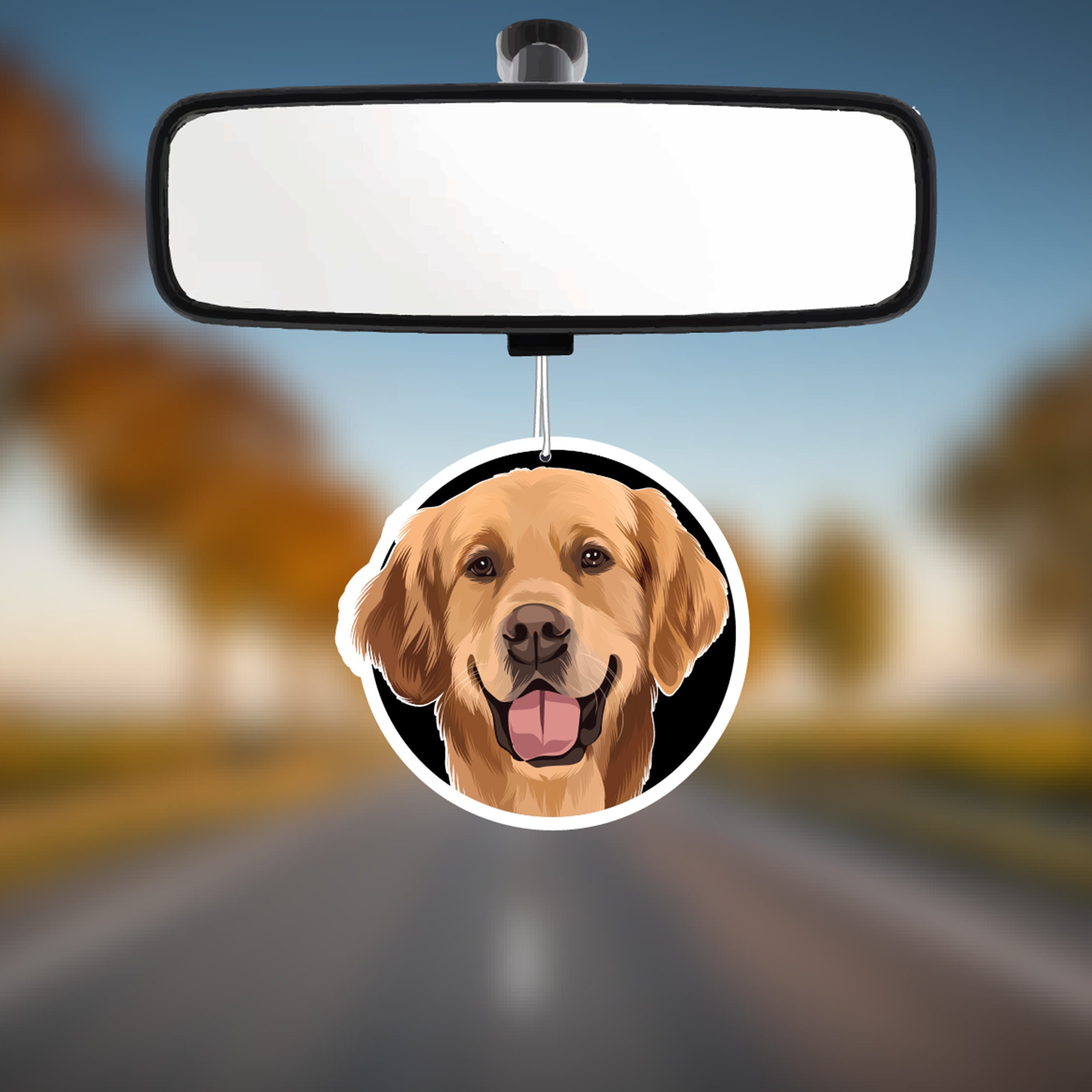 Dog Rear View