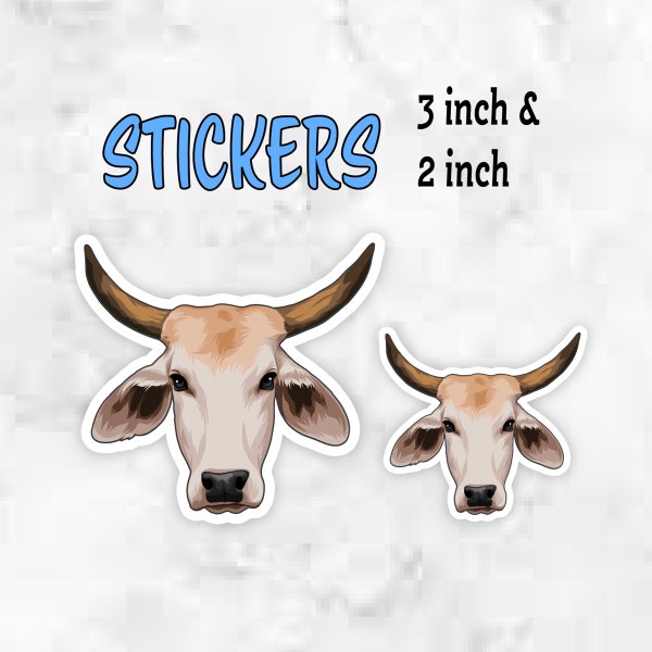 Brahma Bull - Etsy