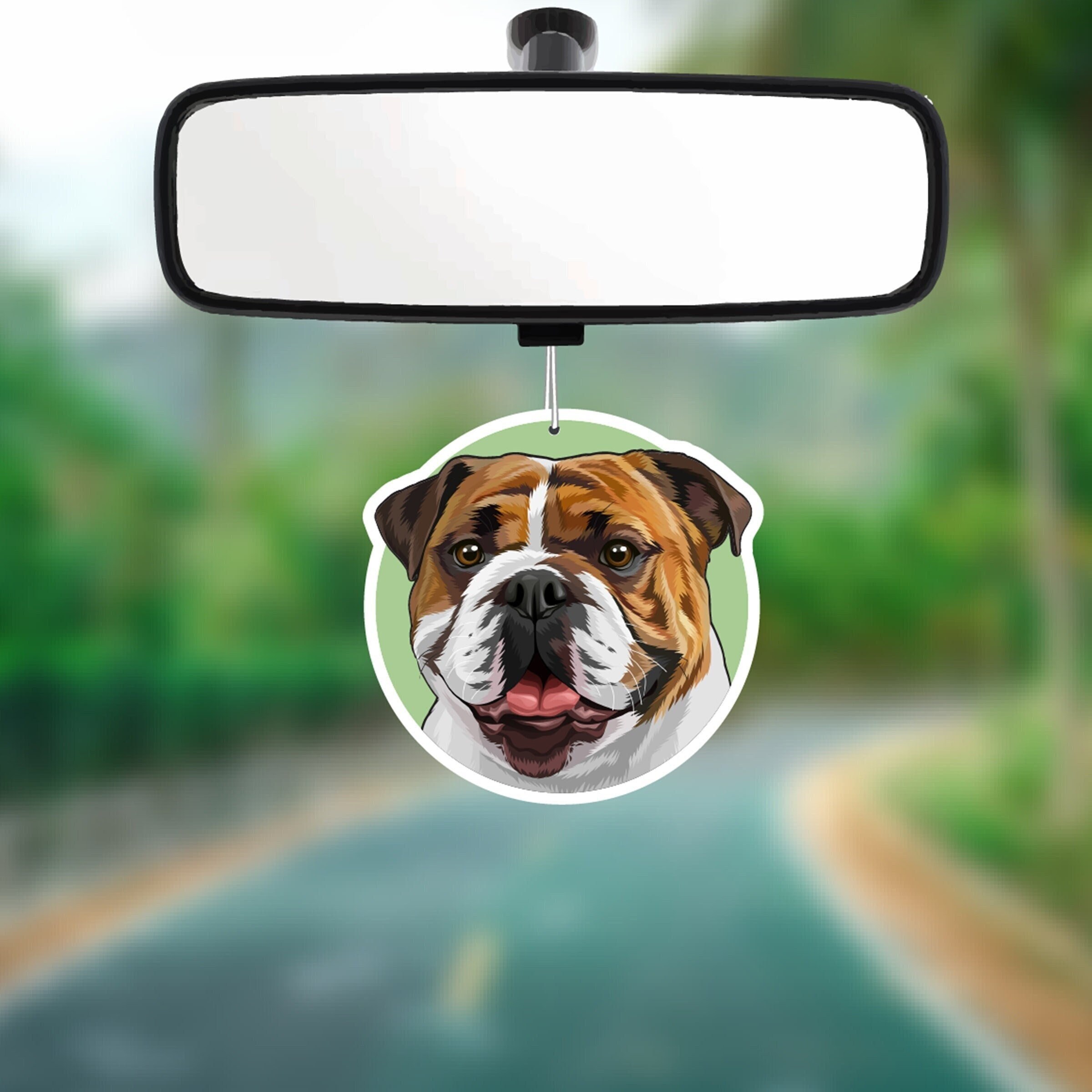 Dog Rear View
