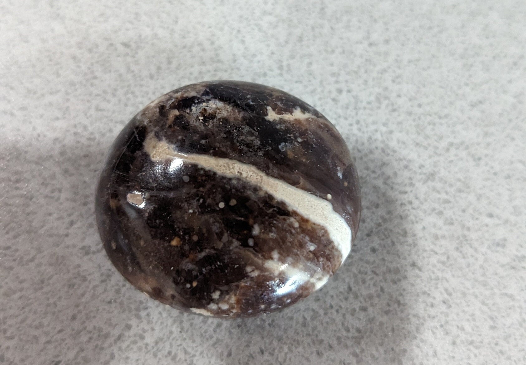 Chocolate Calcite Palm Stone, Brown and White, Veins, Hand Selected Stone, Root and Crown ...