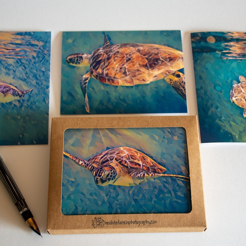 Turtle Blank Note Cards - Etsy