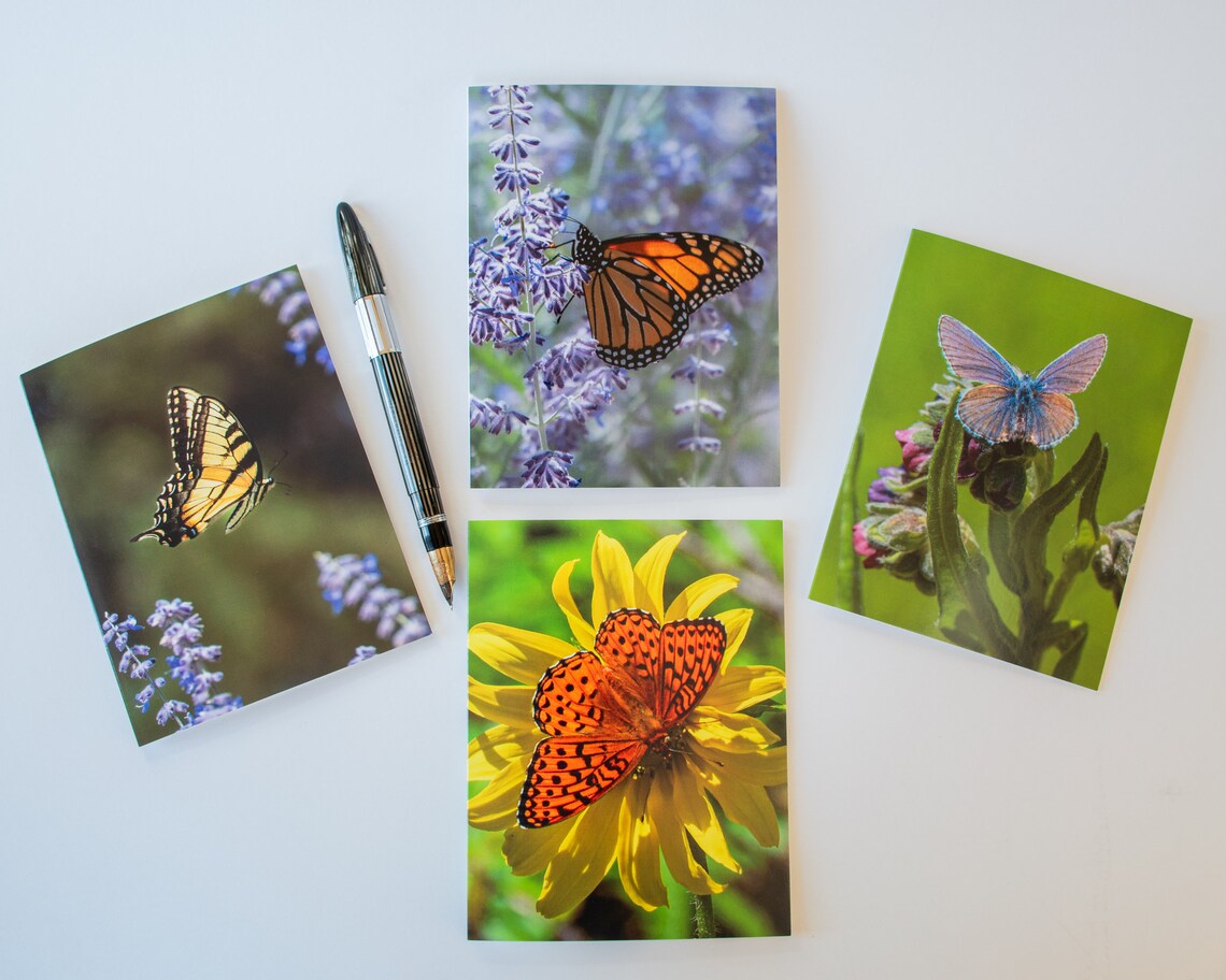 Set of 12 Gorgeous Butterfly Photo Note Cards in Gift Box, Monarch and ...