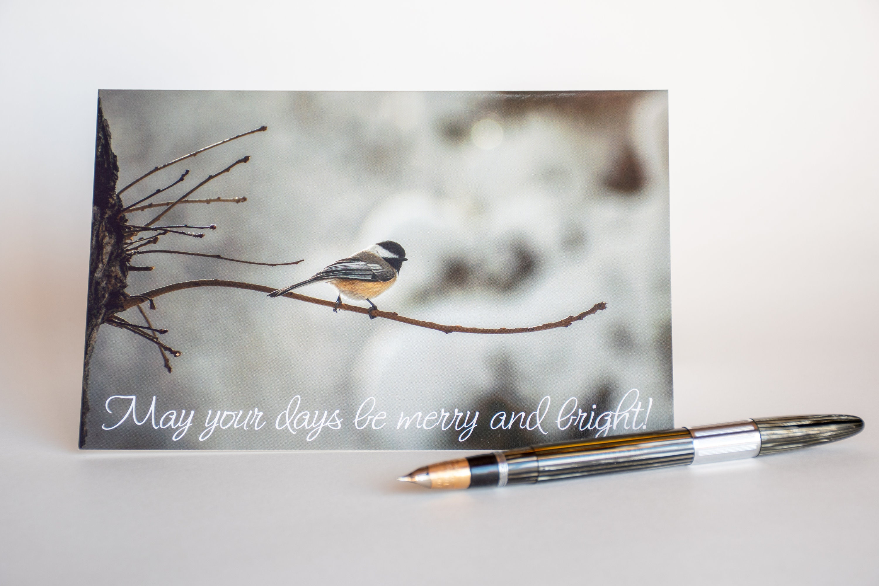 Holiday Note Card Boxed Set of 12, Holiday Greeting Card Set, Winter ...