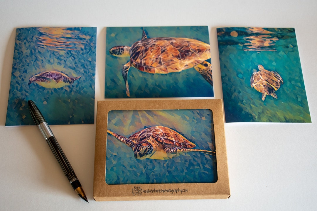 12 Sea Turtle Note Cards Boxed Set, Sea Turtle Art, Sea Turtle Gift ...