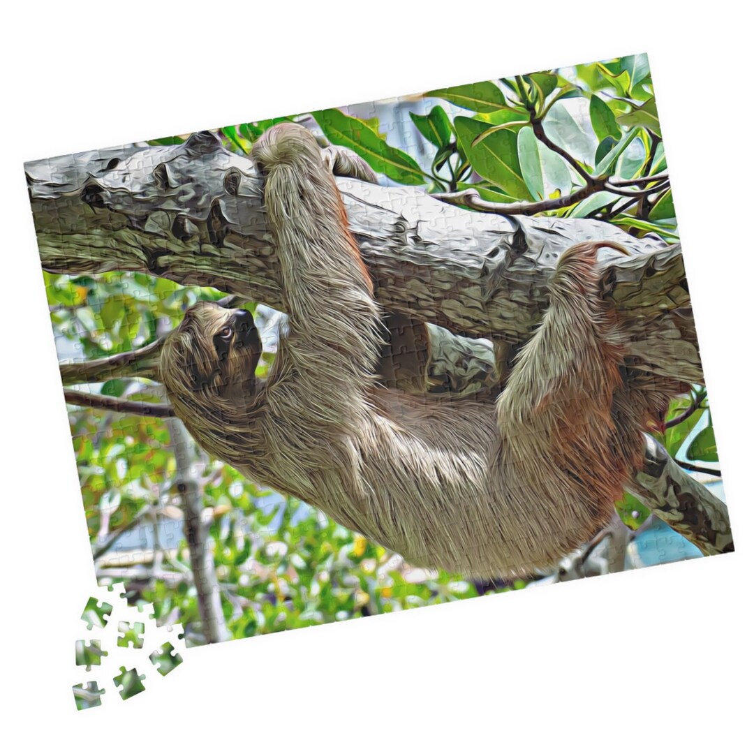 Three-toed Sloth Jigsaw Puzzle in 4 Sizes, 100, 250, 500 or 1000 Piece ...