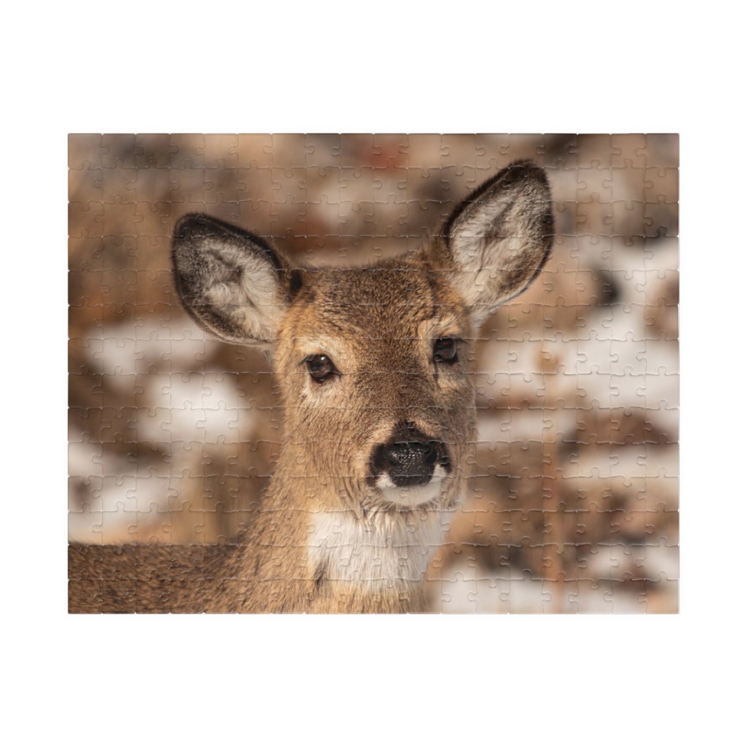 Adorable Deer Fawn Photo Jigsaw Puzzle 110, 252, 520 Piecebaby Forest ...