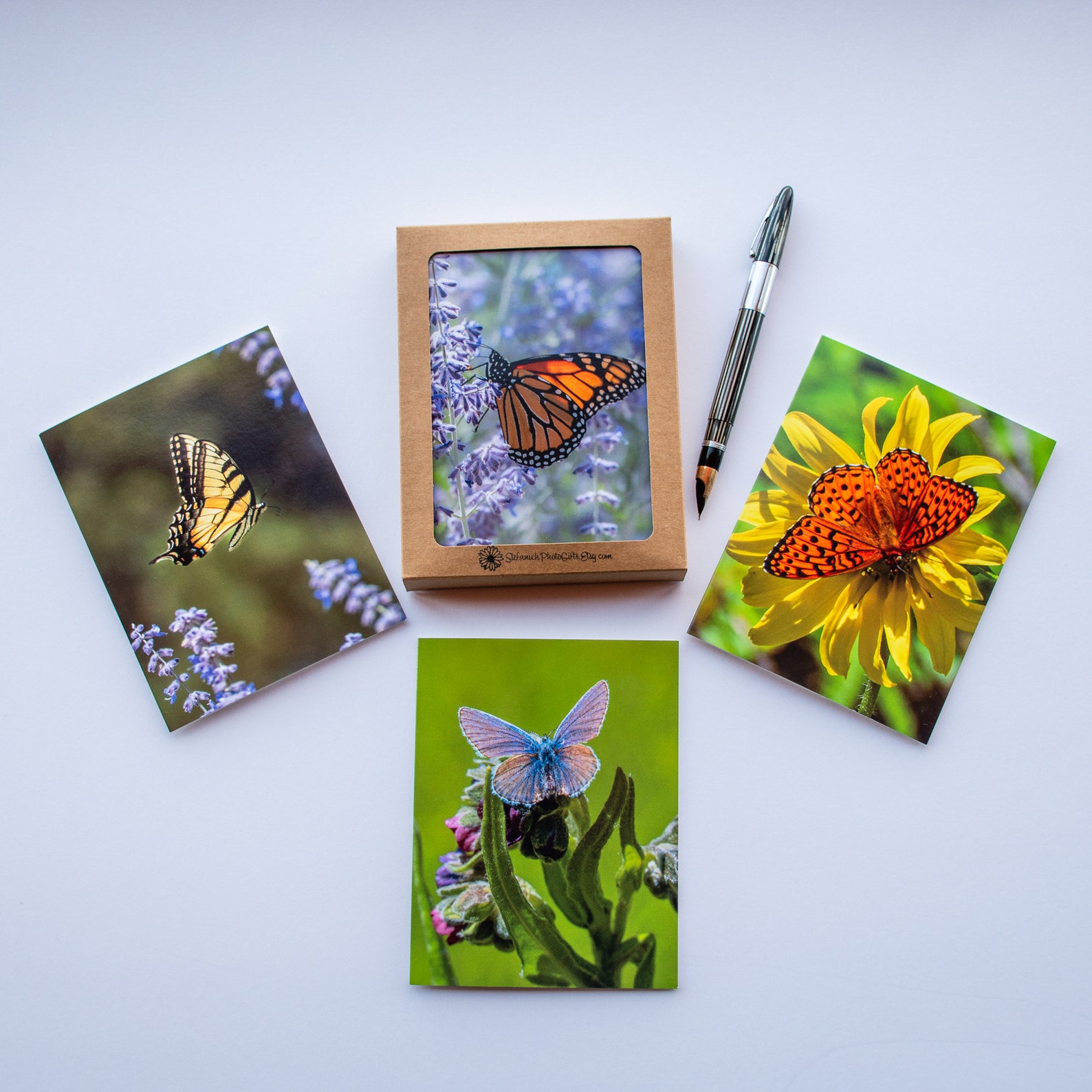 Set of 12 Gorgeous Butterfly Photo Note Cards in Gift Box, Monarch ...