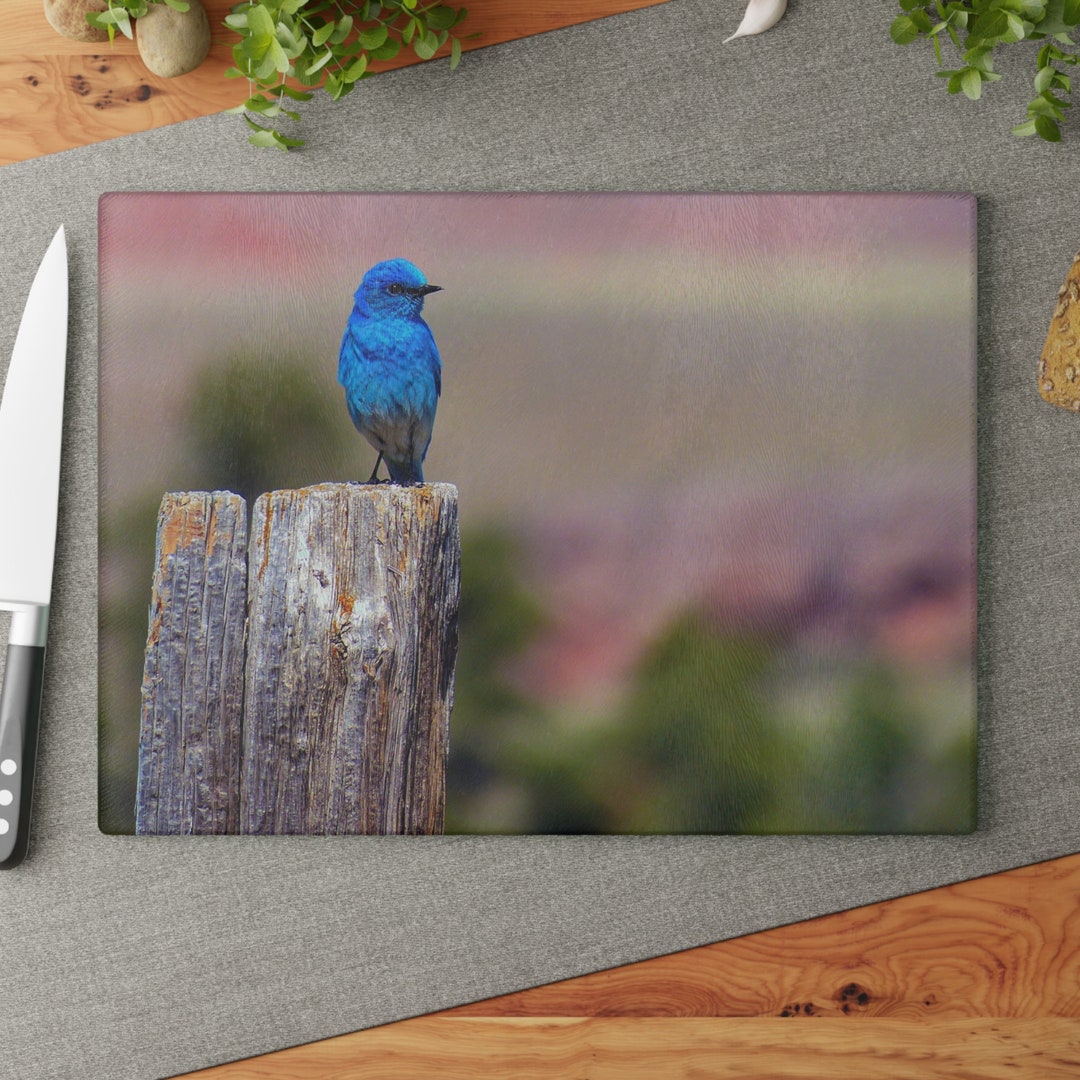 Mountain Bluebird Tempered Glass Cutting Board: Nevada & Idaho State ...