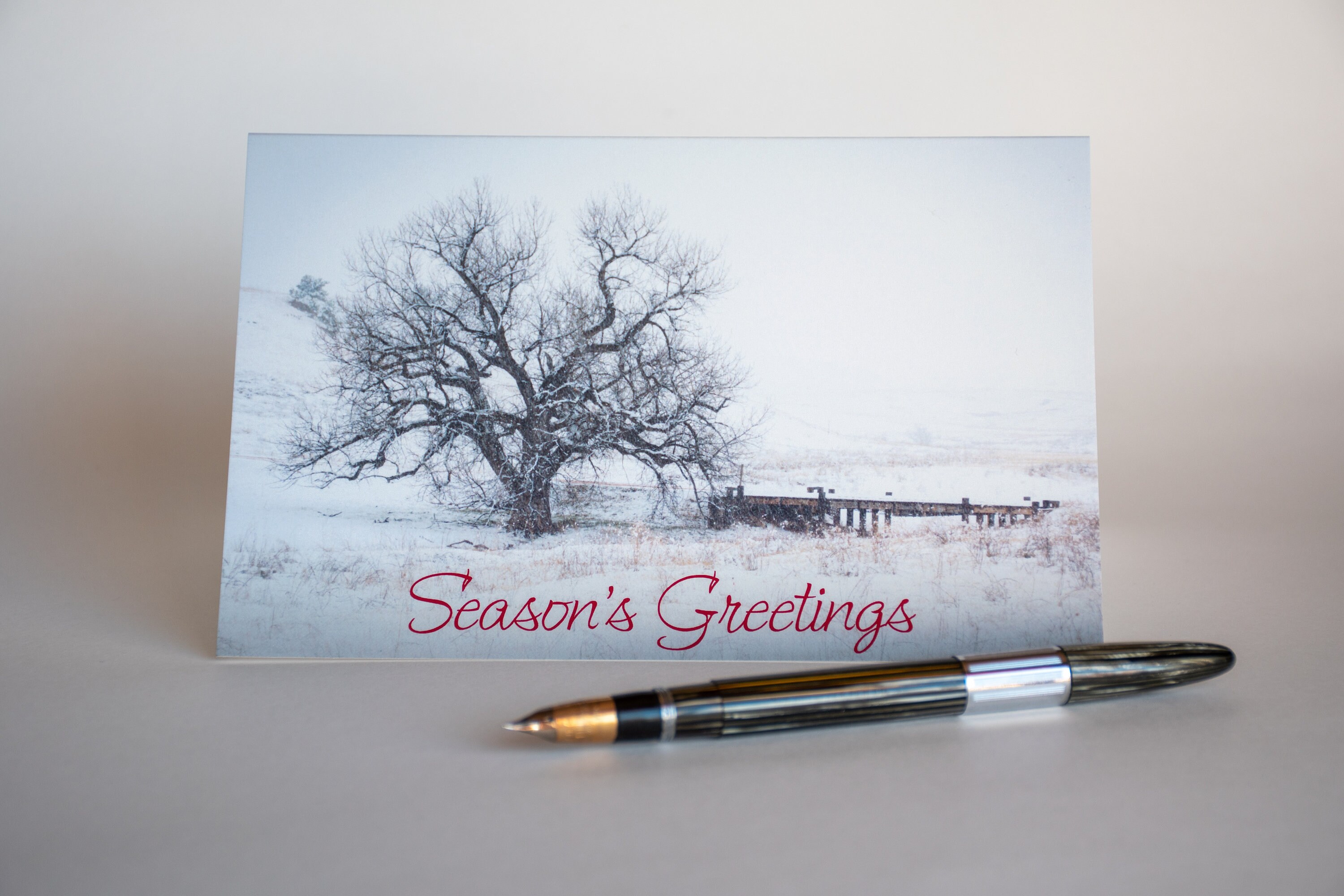 Holiday Note Card Boxed Set of 12, Holiday Greeting Card Set, Winter ...