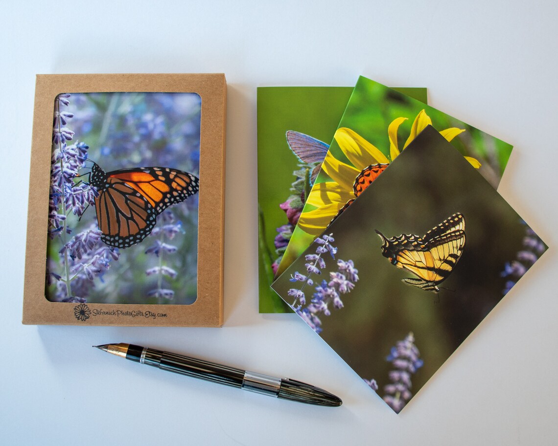 Set of 12 Gorgeous Butterfly Photo Note Cards in Gift Box, Monarch and ...