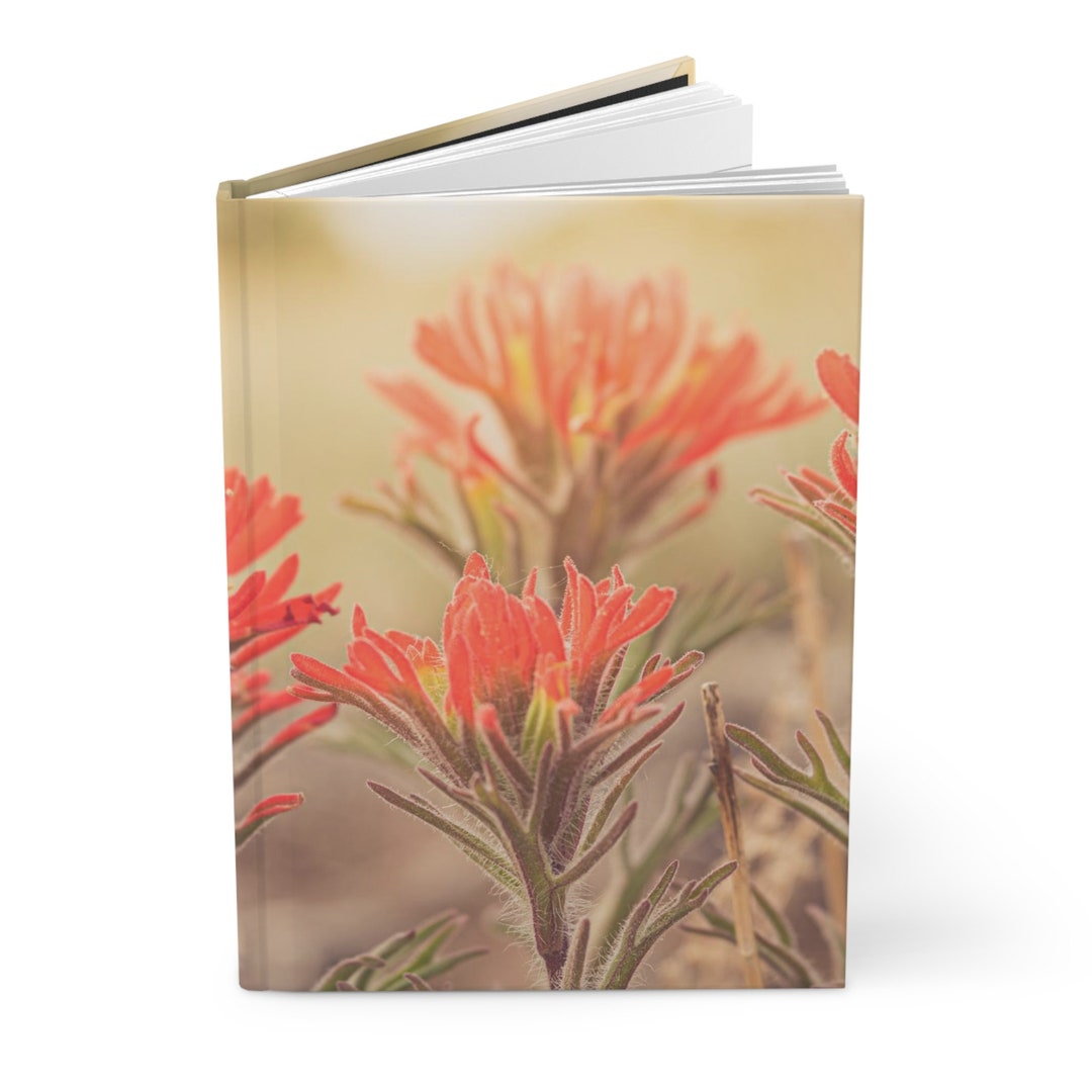 Indian Paintbrush Wyoming State Flower Journal or Guestbook, Wyoming ...