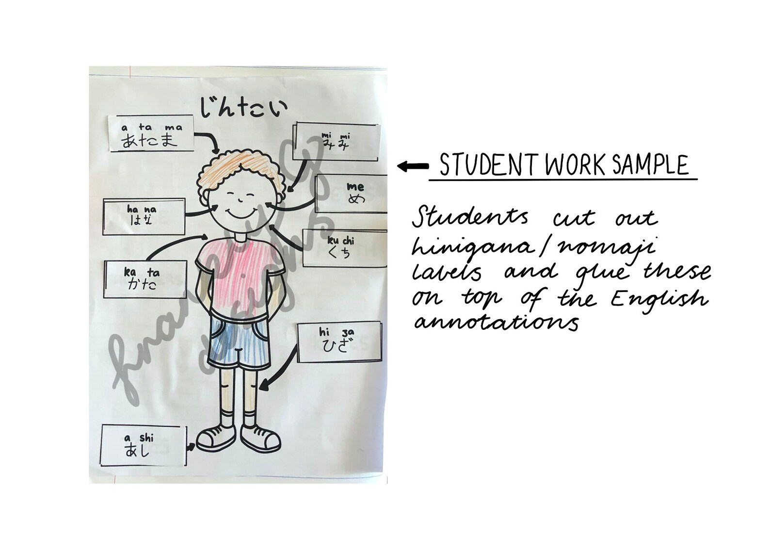 BUNDLE Japanese Parts of Body + Student Worksheet Bundle - Etsy