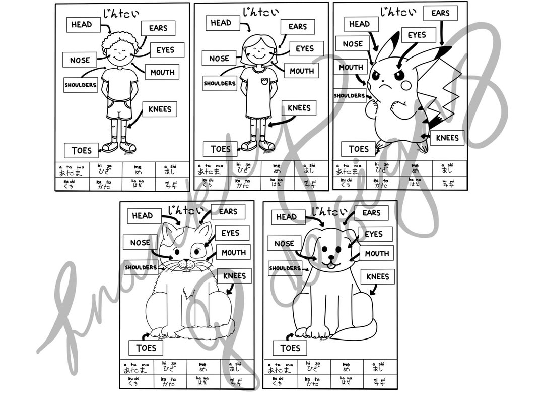 Japanese Parts of Body Student Cut and Paste Worksheet - Etsy