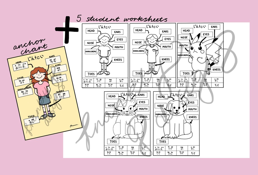 BUNDLE Japanese Parts of Body + Student Worksheet Bundle - Etsy