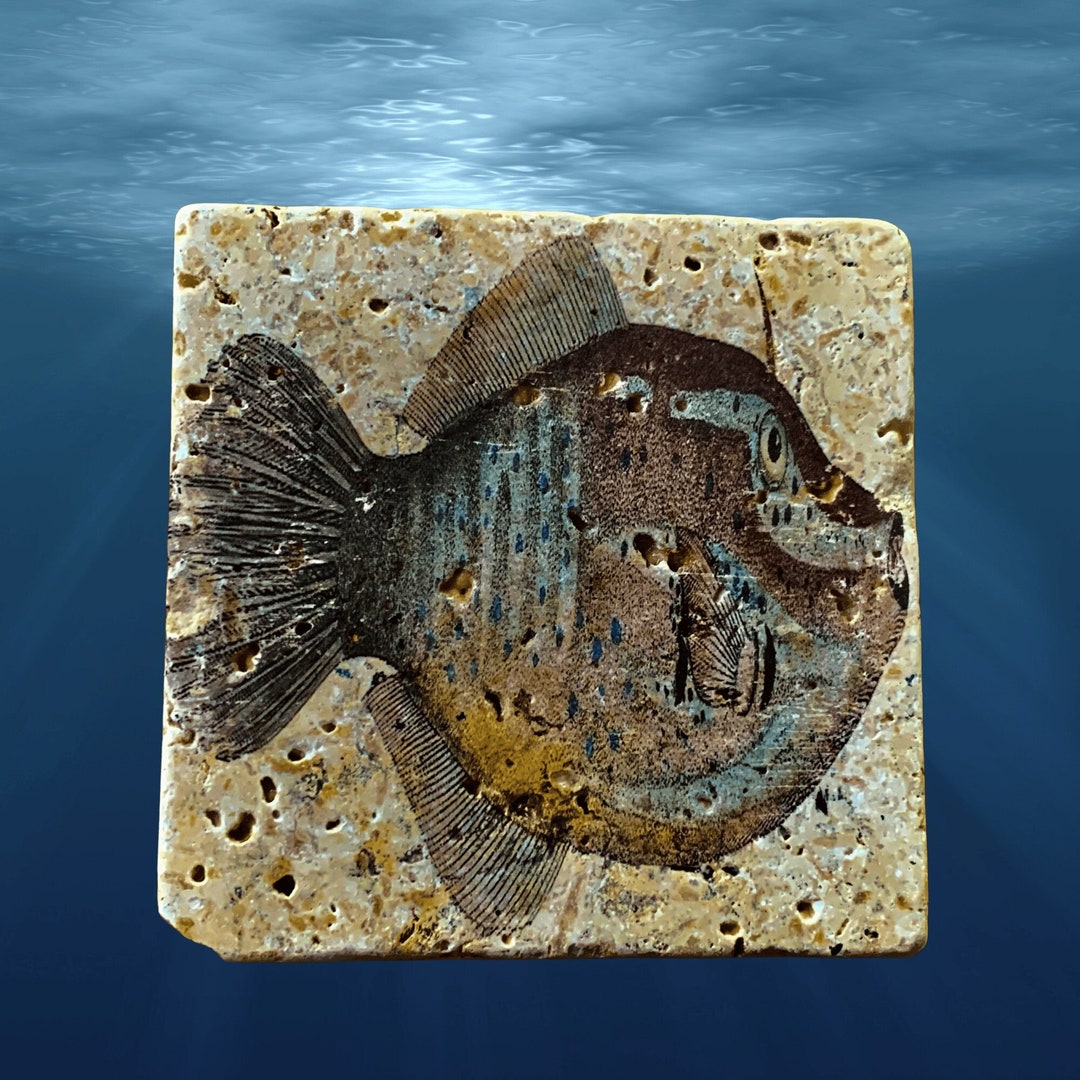 Nautical Coasters Set Coastal Decor Beach House Gift Sea - Etsy