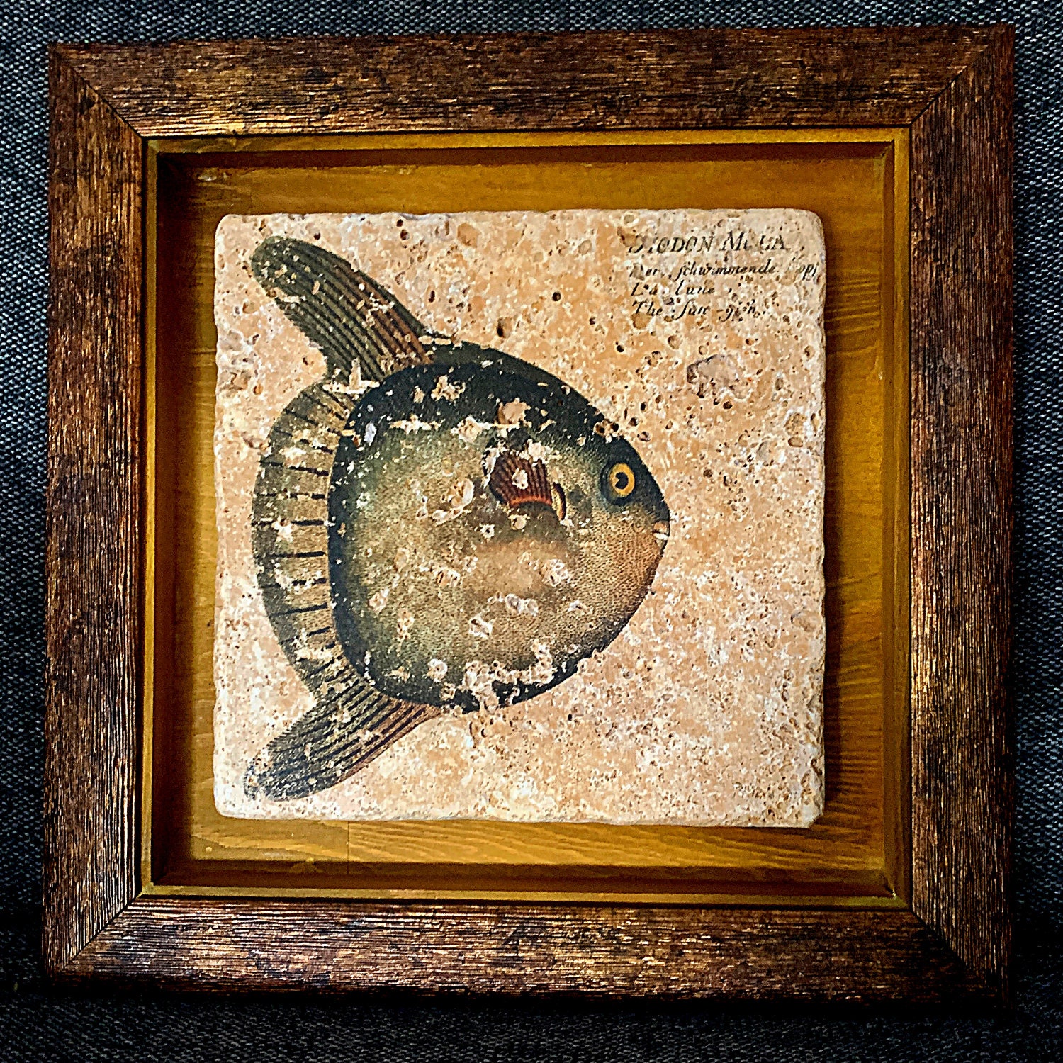 Vintage Fish Tile Ocean Tiles Sea Wall Décor Ocean - Etsy