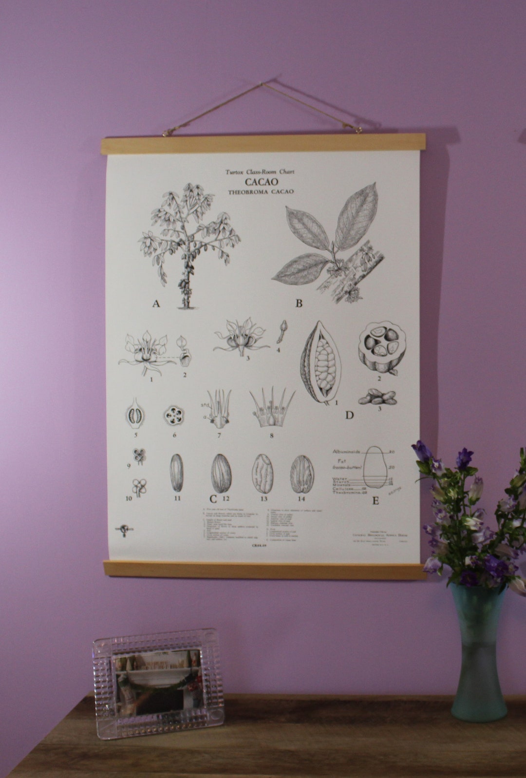 Cacao Classroom Chart - Etsy