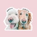 Custom Pet Stickers, Dog Mom Stickers, Personalized Animal Sticker - Etsy