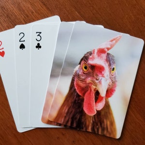 Chicken Playing Cards, Deck of Cards, Standard Deck, Backyard Chickens ...