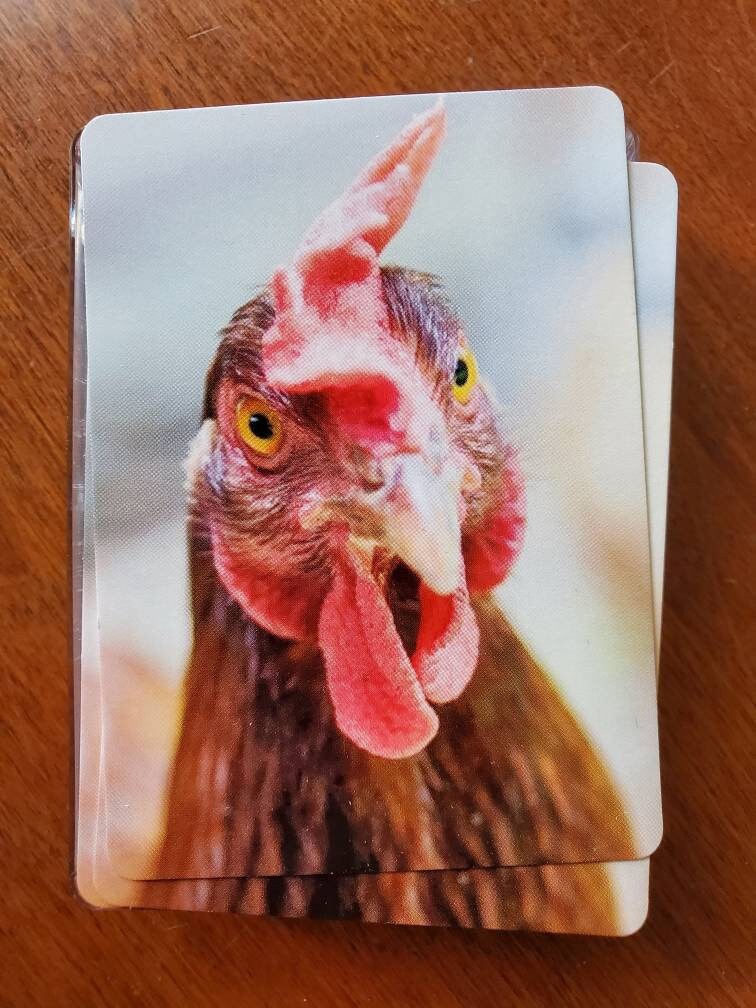 Chicken Playing Cards, Deck of Cards, Standard Deck, Backyard Chickens ...
