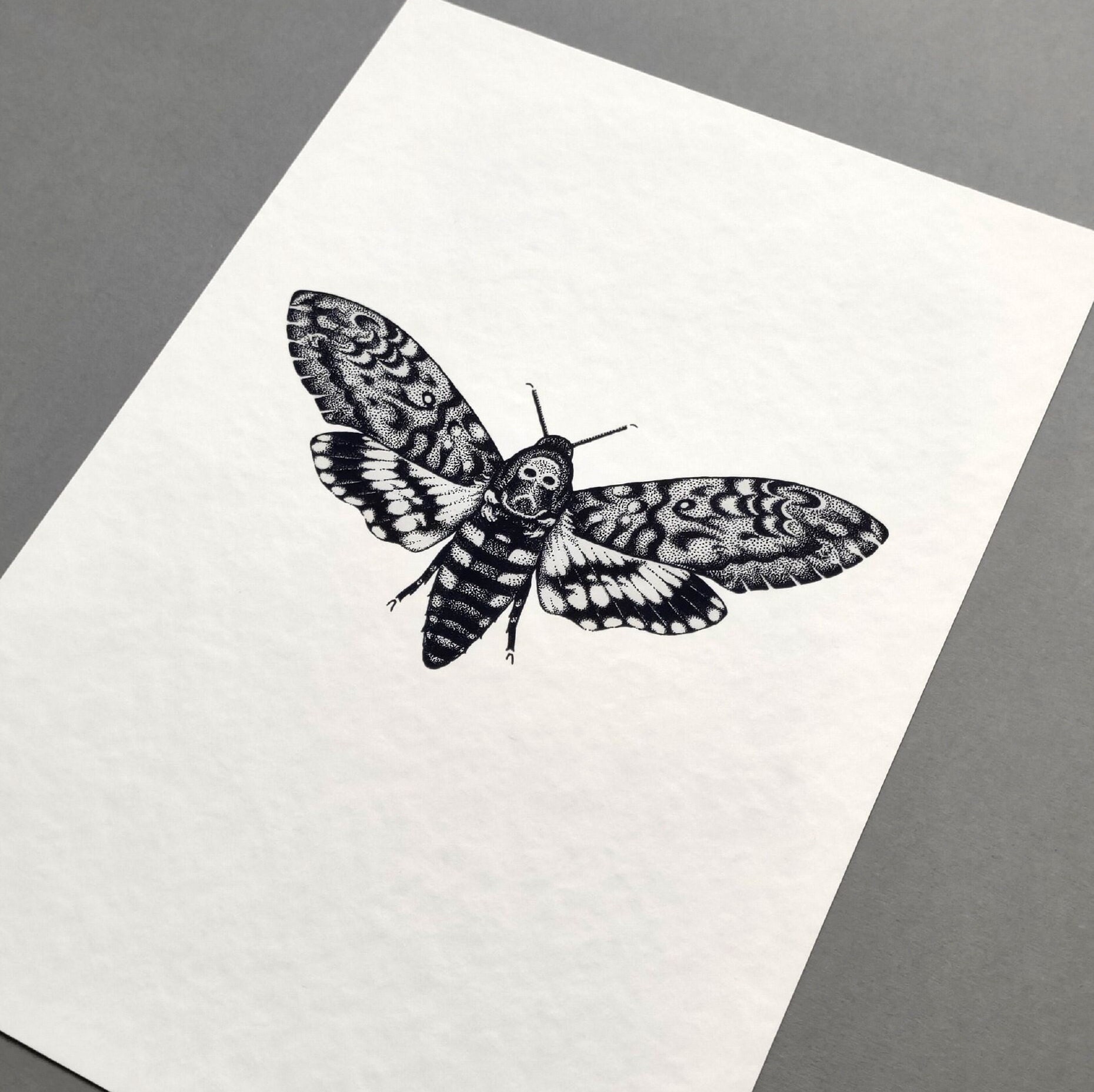 Moth | Death's-head Hawkmoth | Acherontia Atropos | Skull | Dotwork ...