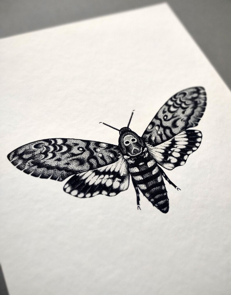 Moth | Death's-head Hawkmoth | Acherontia Atropos | Skull | Dotwork ...