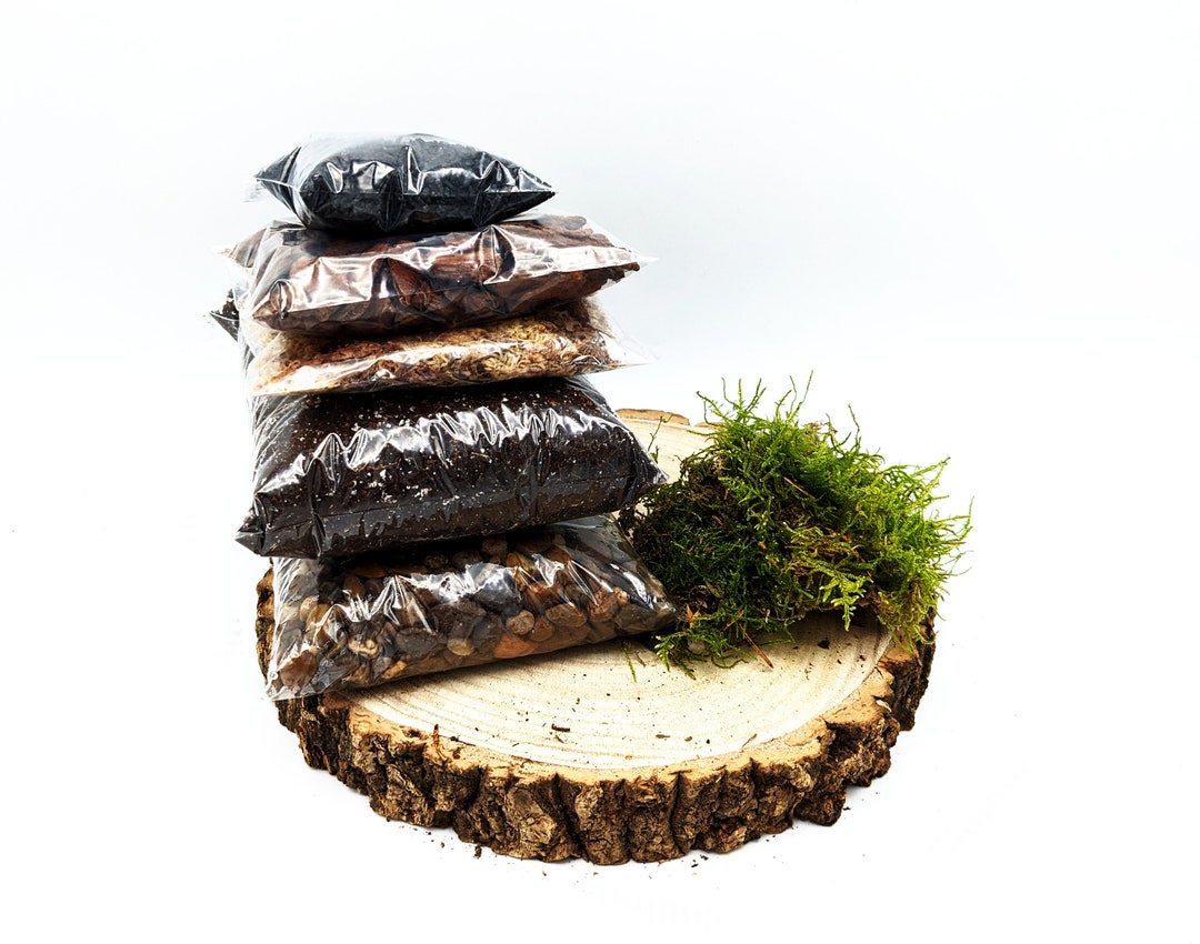 DIY Medium Terrarium Starter Kit • Soil, Sphagnum Moss, Charcoal ...