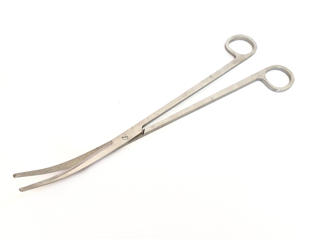 Long Handle Terrarium Scissors • 24cm • Terrarium Maintenance Tool - Etsy
