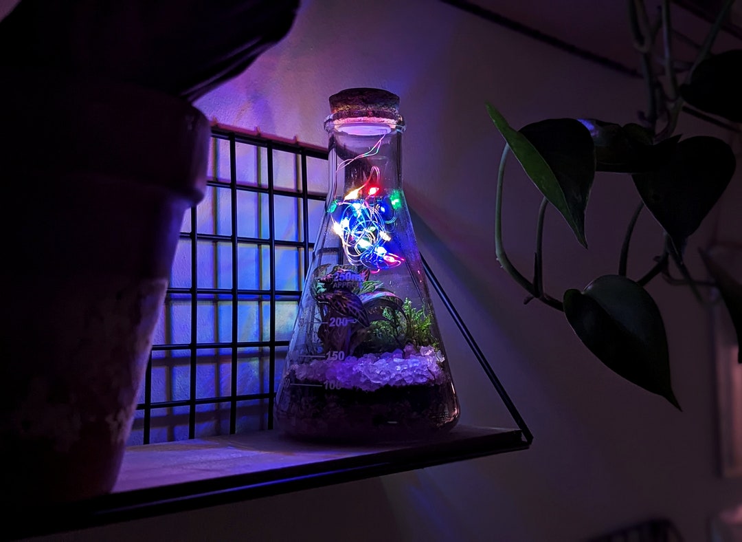 DIY 250ml Light up Conical Flask Colourful Cork Top Terrarium Science Lovers 250ml Closed ...