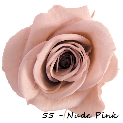 Spray Rose - Etsy