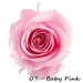 Spray Rose - Etsy