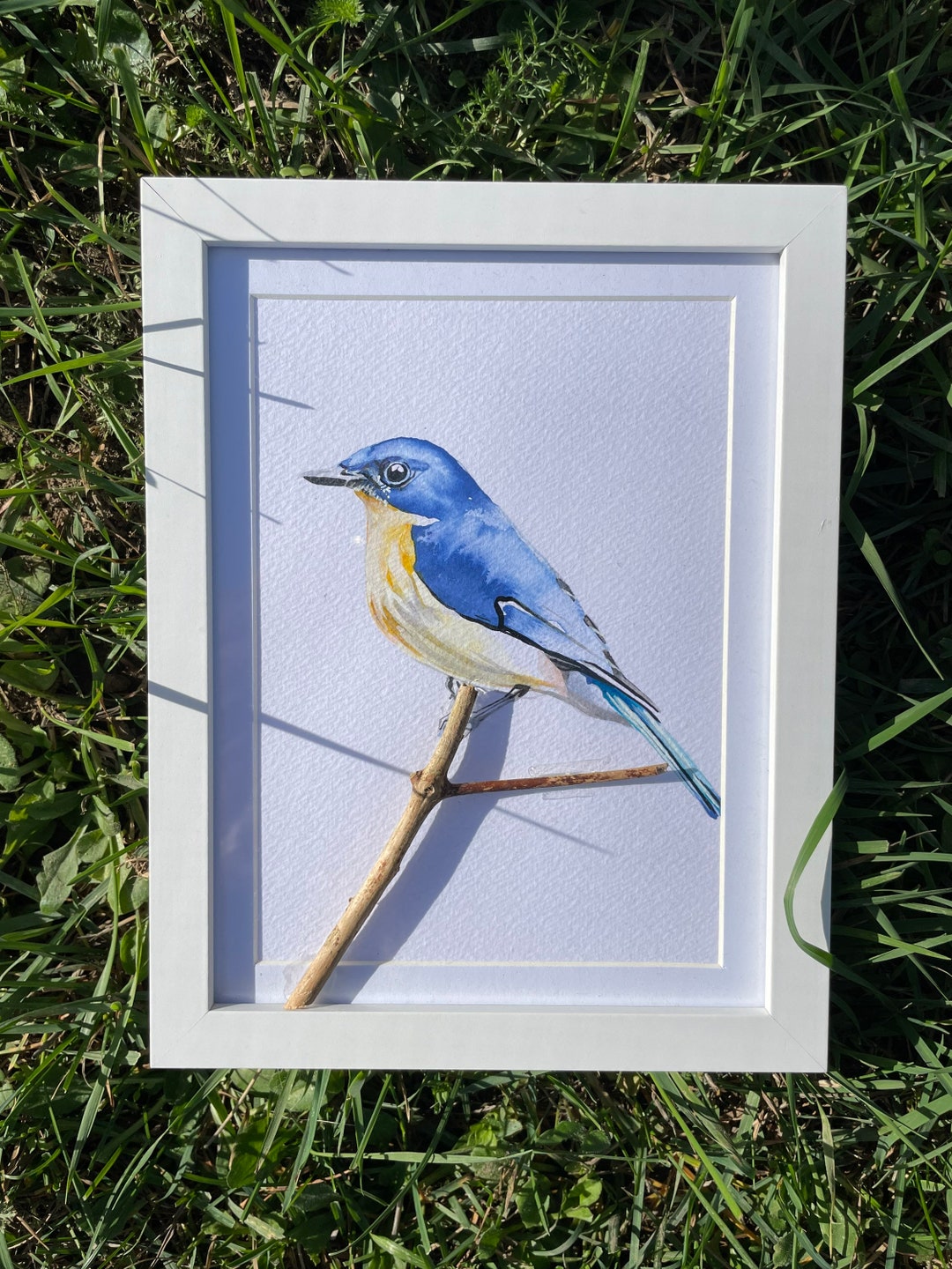 Marco Bird Decoración de acuarela Decoración de marco de - Etsy España