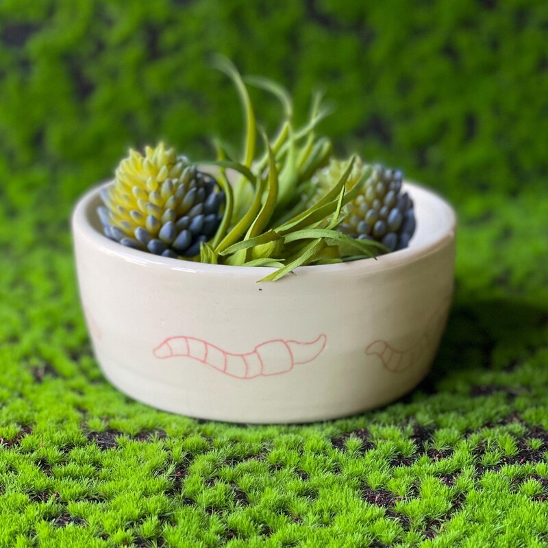 Ceramic Garden Worm - Etsy