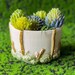 3-D Forest Planter, Plant Pot, Handmade Ceramic READY TO SHIP - Etsy