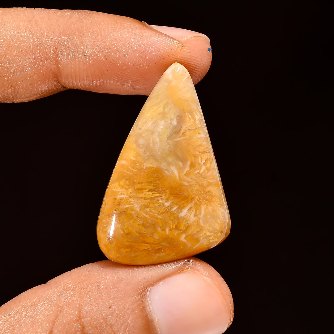 Unique Top Grade Quality 100% Natural Fossil Coral Fancy Shape - Etsy