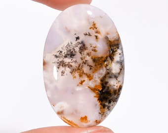 37X23X6 mm SB-6931 Amazing Top Grade Natural Indonesian Natural Moss ...