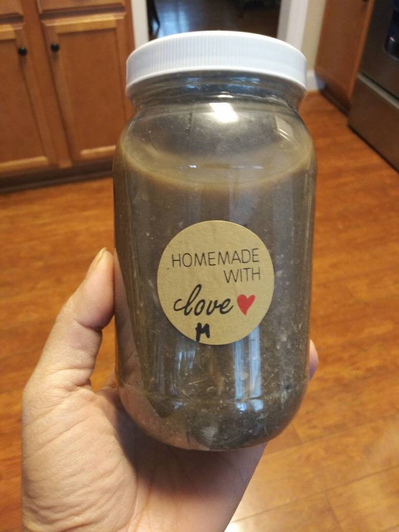 Homemade Fermented Fish Anchovies or Small Medium Size Ginamos Dilis ...