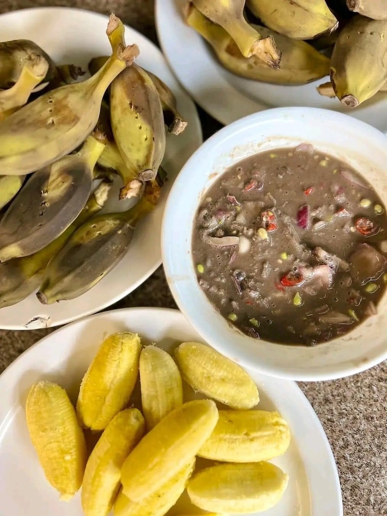 Homemade Fermented Fish Anchovies or Small- Medium Size Ginamos Dilis ...