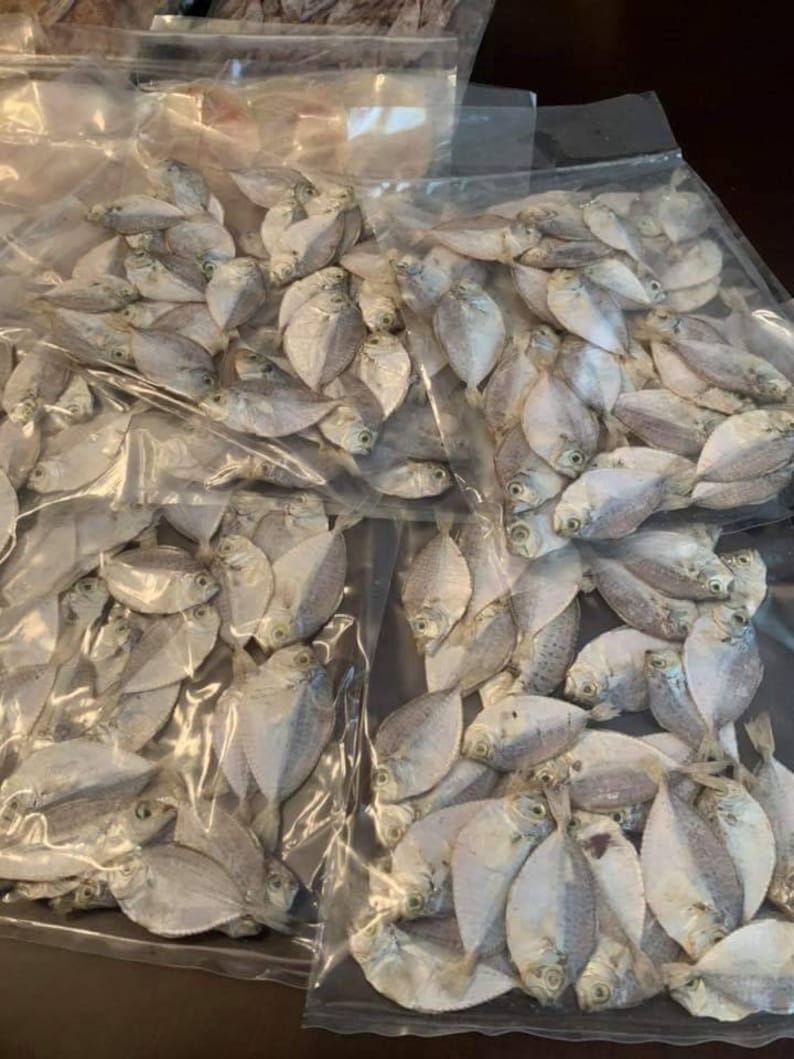 Salted Dried Seafood Pony Fish or Pot-pot Sap Sap 100 Grams 3.52 4.2 Oz ...