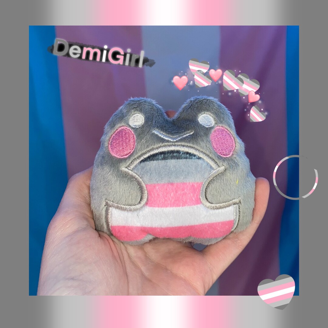 Demigirl Frog Plushie pride Gifts Hand Made Trans Fidget - Etsy