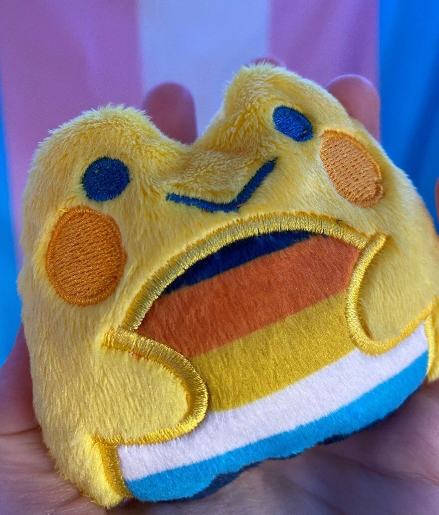 Lgbtqiaplus Custom Fidget Frog Plushie pride Gifts Hand Made - Etsy Canada