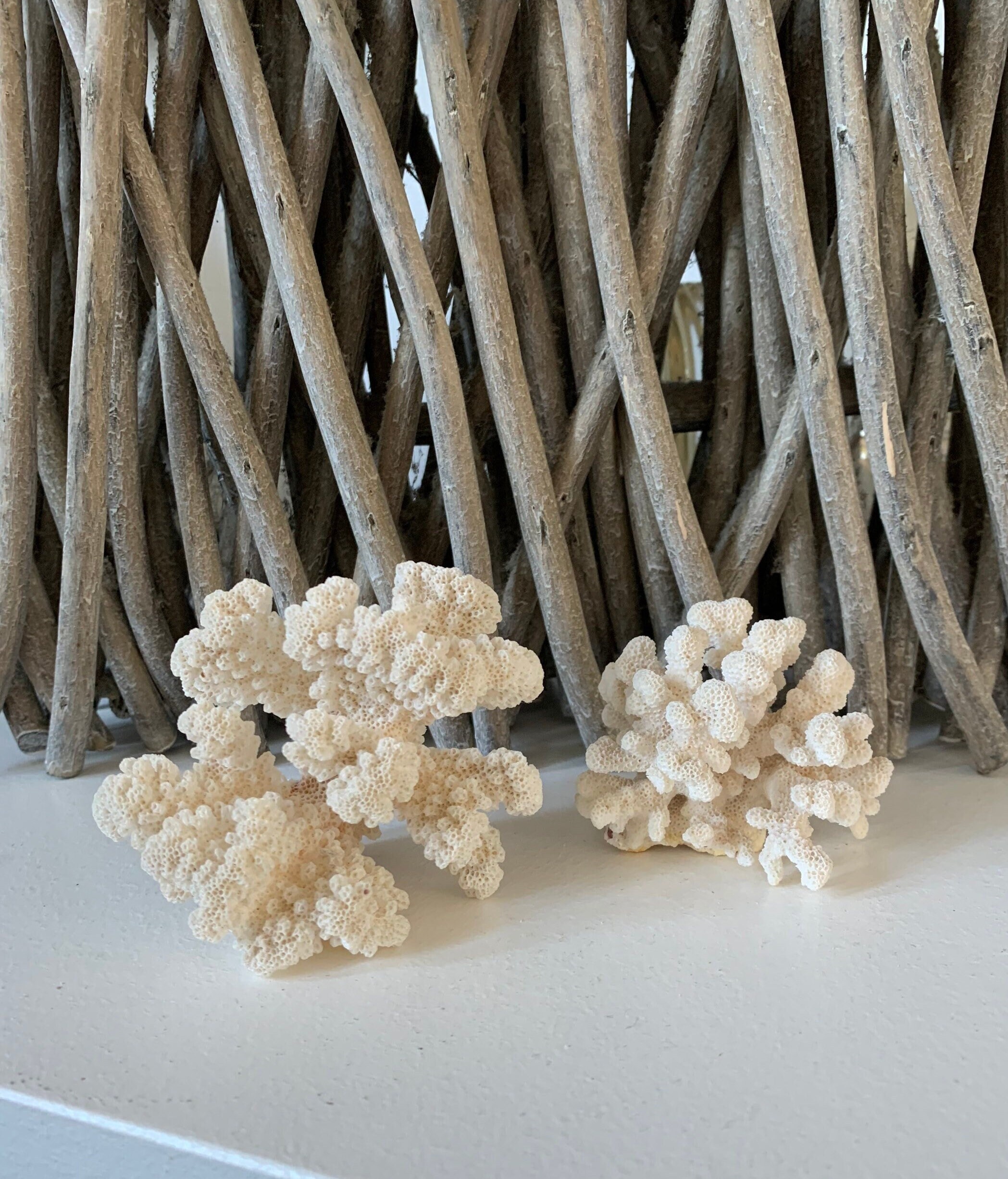 Table corail maison d'occasion