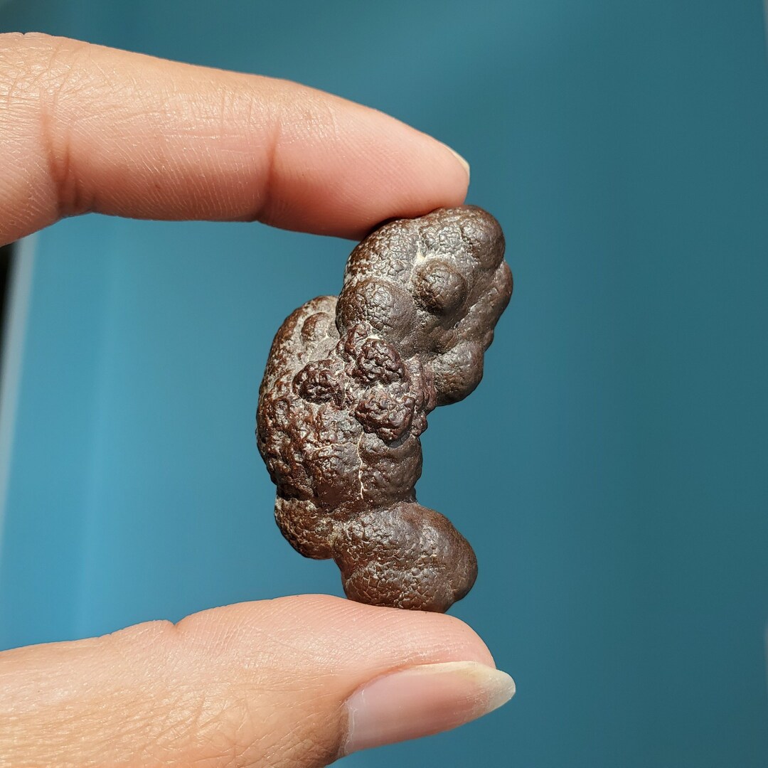 Embryo Egyptian Prophecy Stone || A Naturally Formed Embryo Straight ...