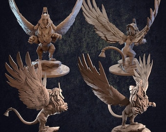 Sphinx Resin Miniature Dnd Miniatures Dungeons & Dragons - Etsy