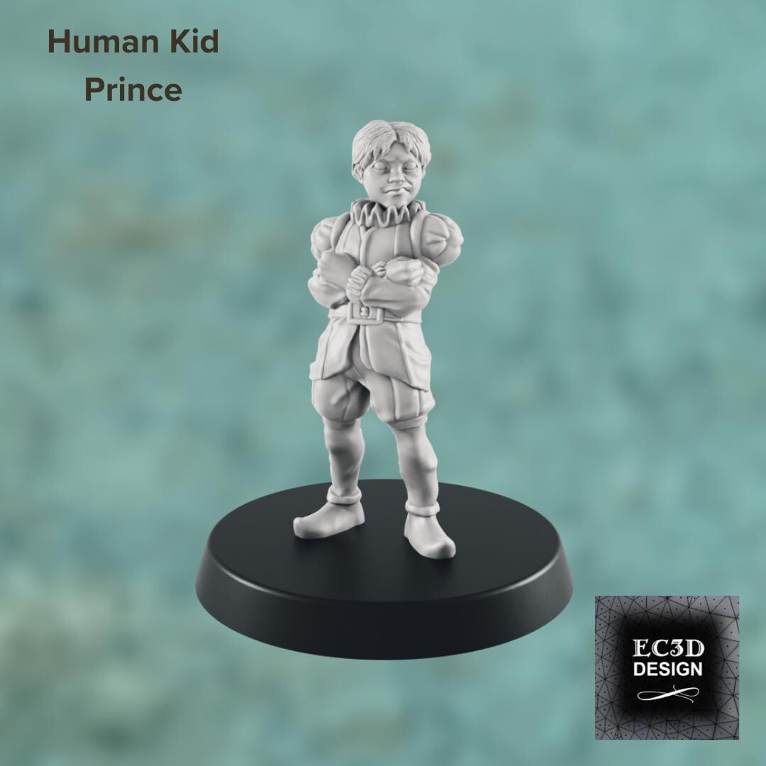 Human Male Kid Prince Dnd RPG Miniature - Ec3d/hero's Hoard (dungeons ...